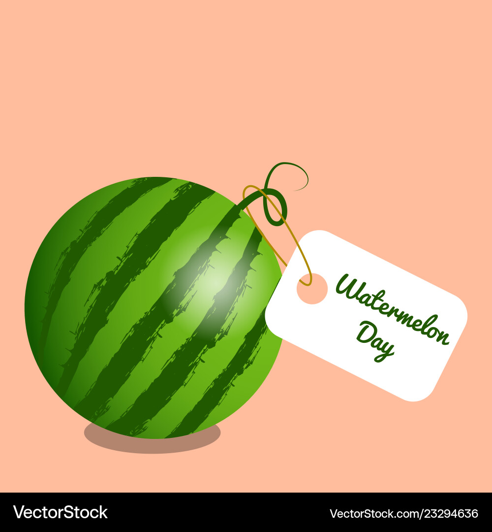 National watermelon day 3 august watermelon a tag Vector Image