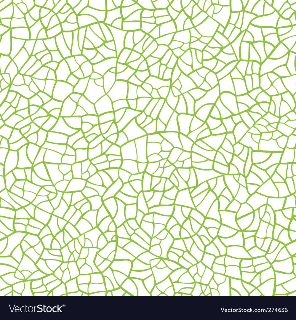 Seamless texture Royalty Free Vector Image - VectorStock