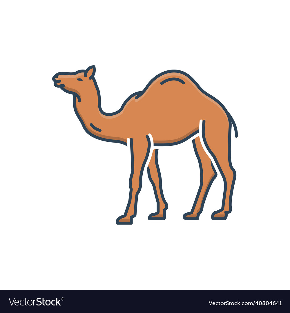 Camel Royalty Free Vector Image - VectorStock