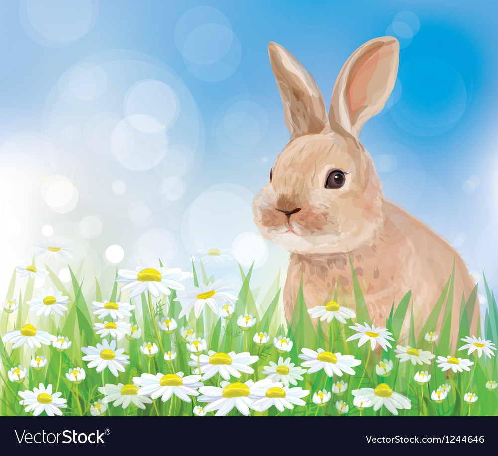 Rabbit Royalty Free Vector Image - VectorStock