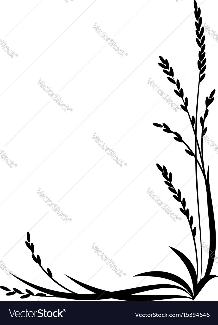 Rice background Royalty Free Vector Image - VectorStock