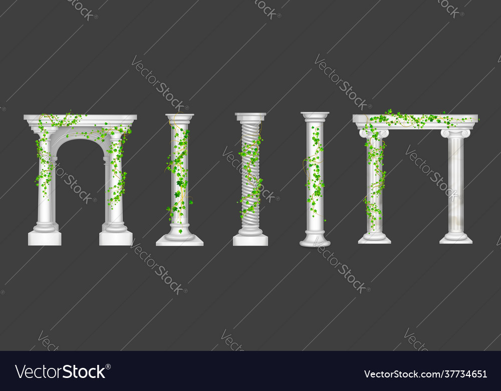 Ivy on marble columns and arches green vines Vector Image Ivy on marble columns and arches green vines Vector Image