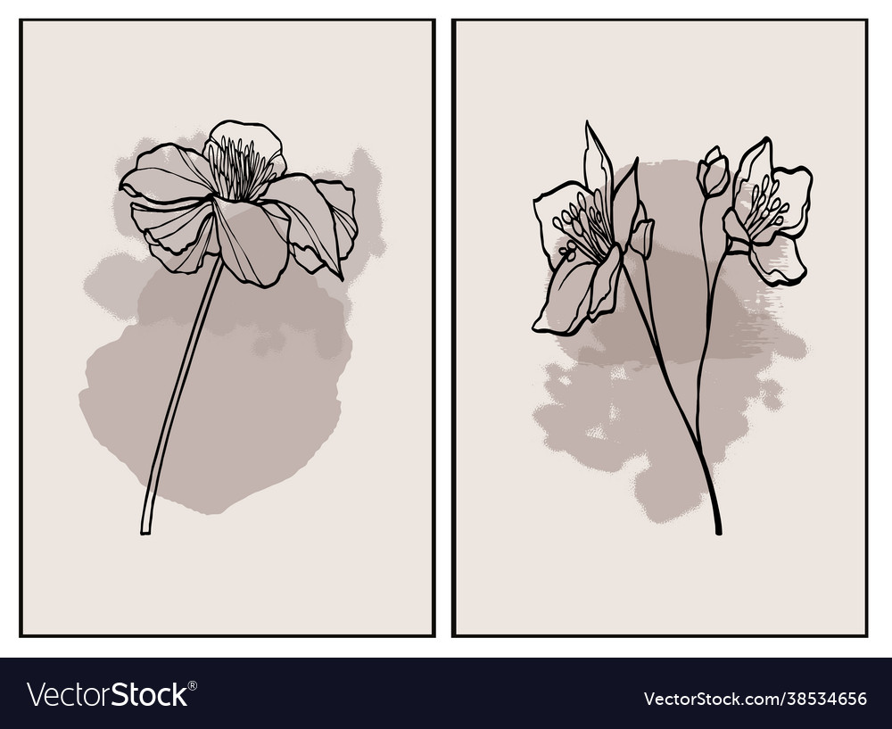 Botanical wall art line art Royalty Free Vector Image