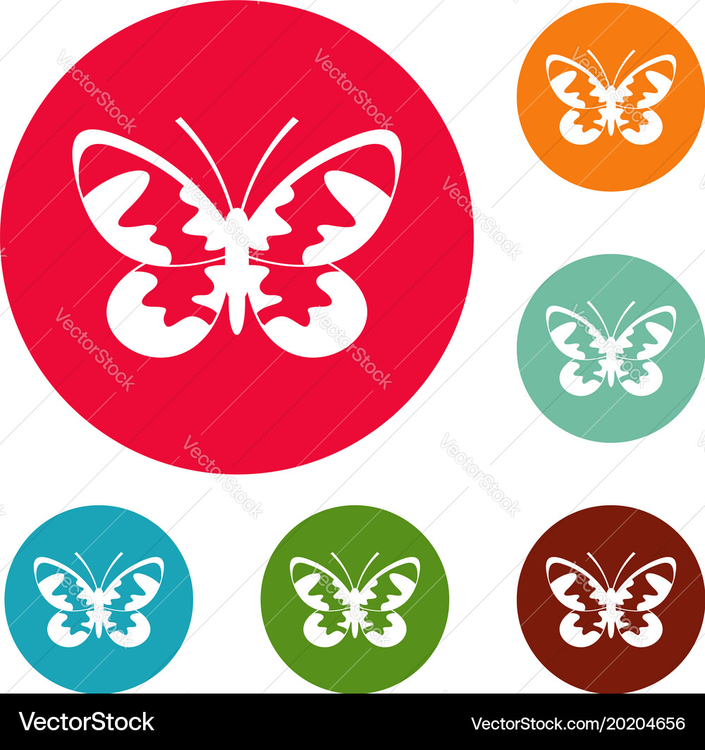 Butterfly with ornament icons circle set Vector Image