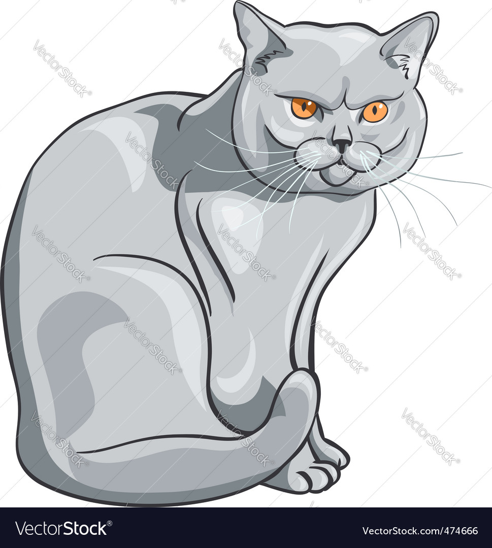 Cat Royalty Free Vector Image - VectorStock