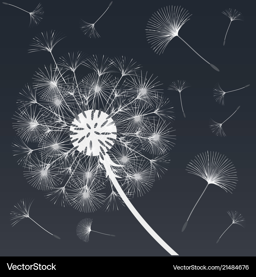 Abstract background of a dandelion for design Vector Image
