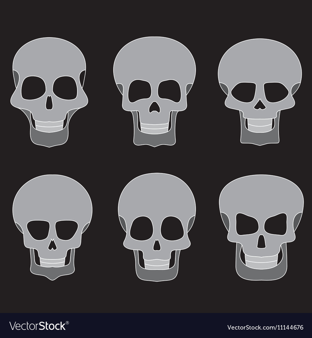 Colored skul pattern Royalty Free Vector Image