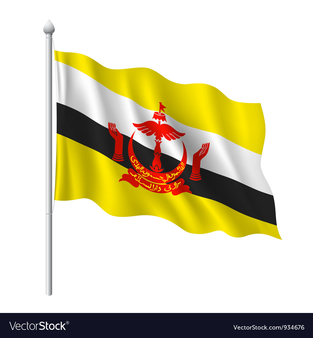 Flag brunei Royalty Free Vector Image - VectorStock