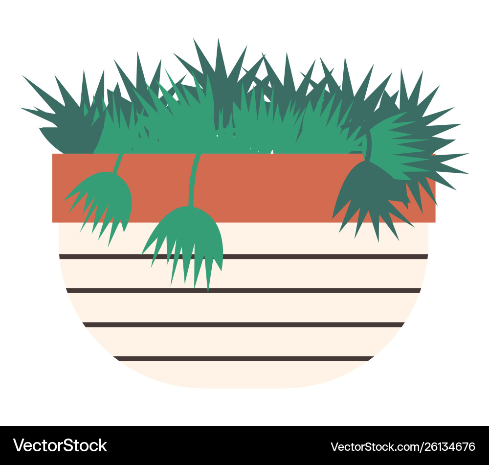 House plant shrubs growing from ground isolated Vector Image