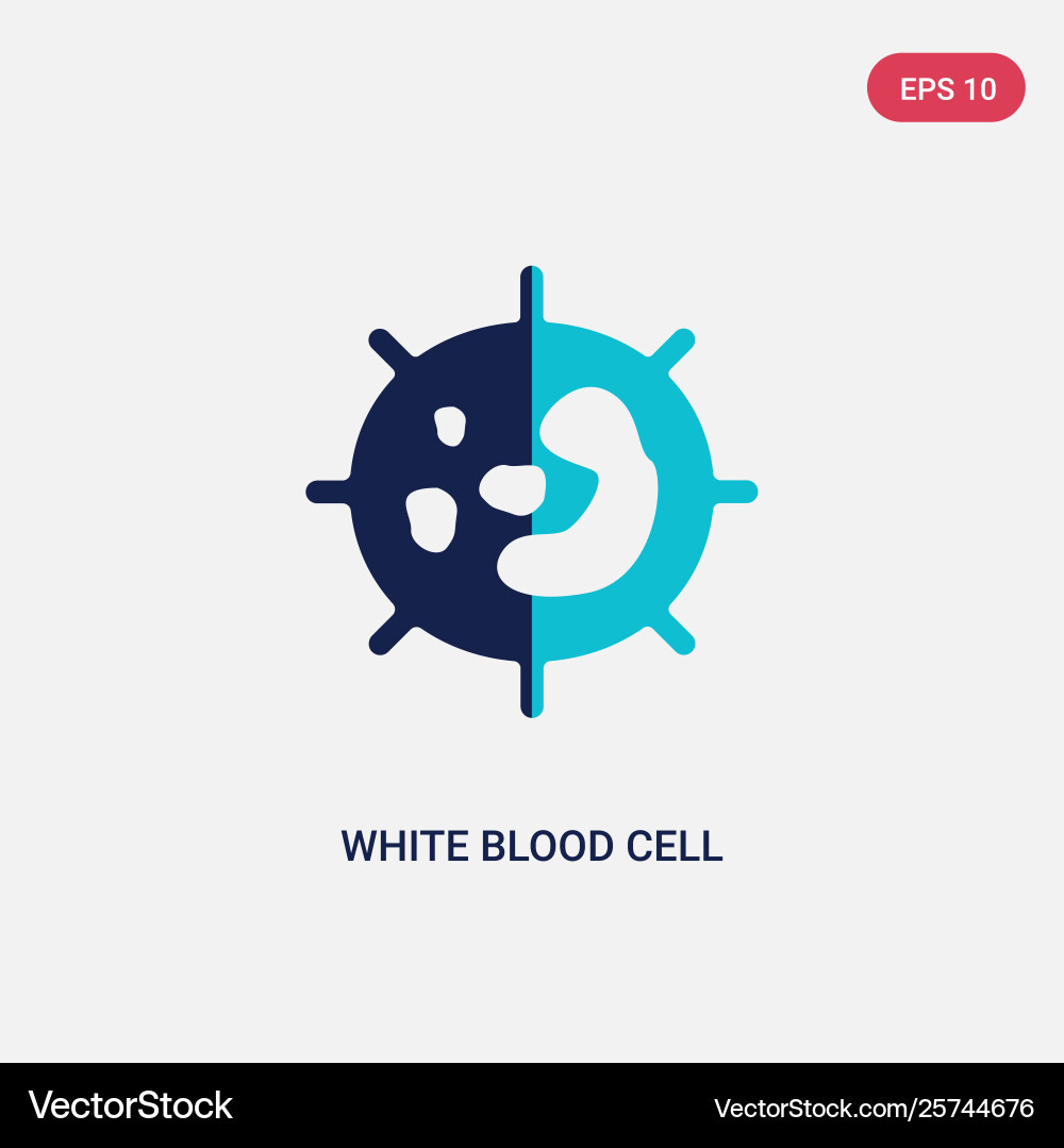 Two color white blood cell icon from human body Vector Image