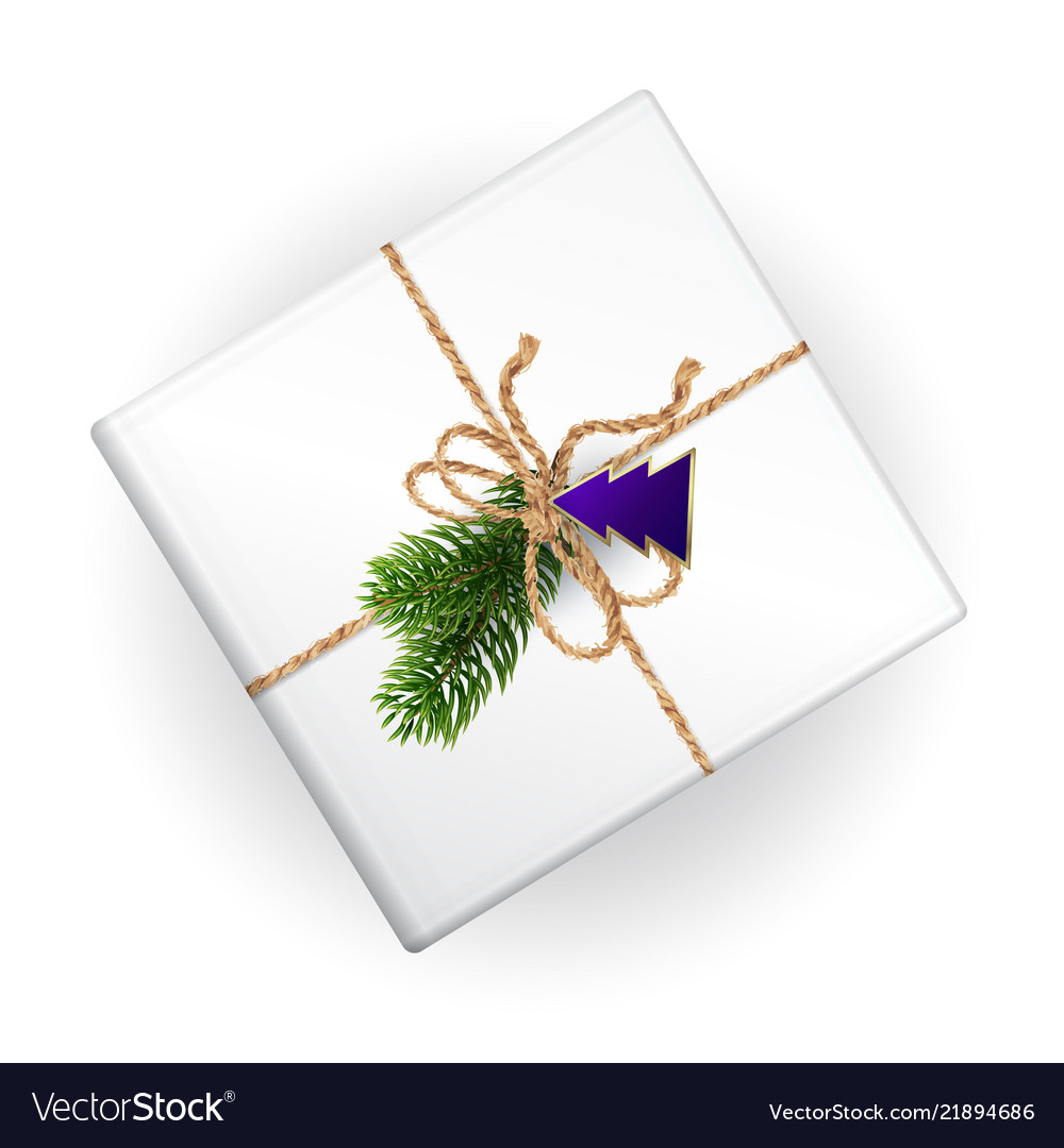 A mockup of christmas gift box with decoration Vector Image