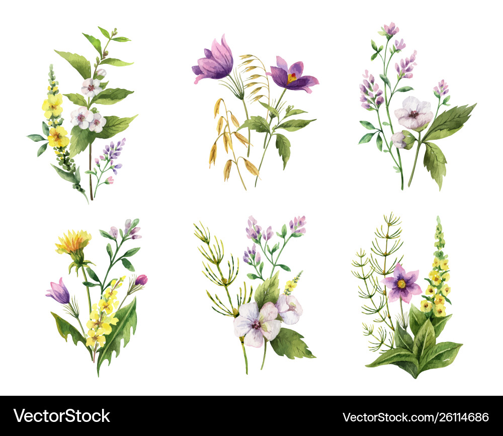 Watercolor hand painted set bouquets Royalty Free Vector