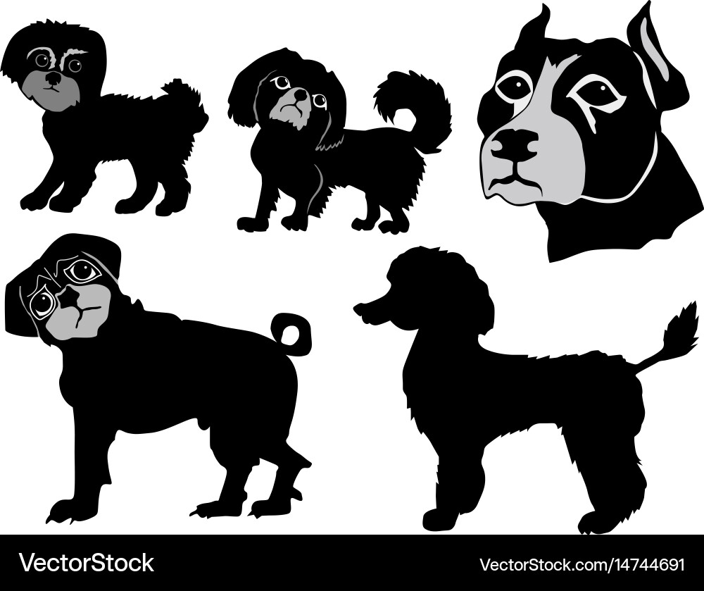 Set of dogs Royalty Free Vector Image - VectorStock