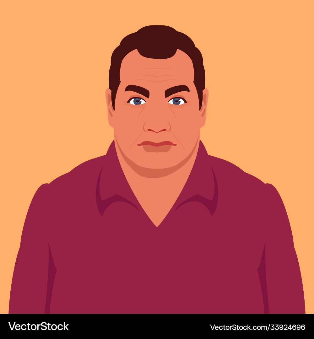Portrait a man in shirt Royalty Free Vector Image