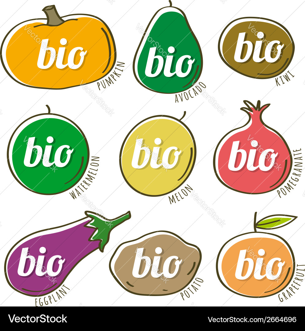 Set of organic vegetable and fruit Royalty Free Vector Image