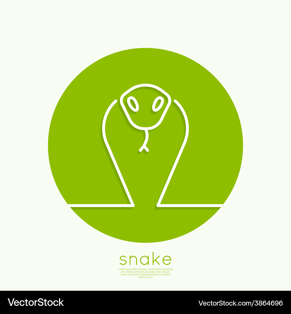 Symbol of the snake Royalty Free Vector Image - VectorStock