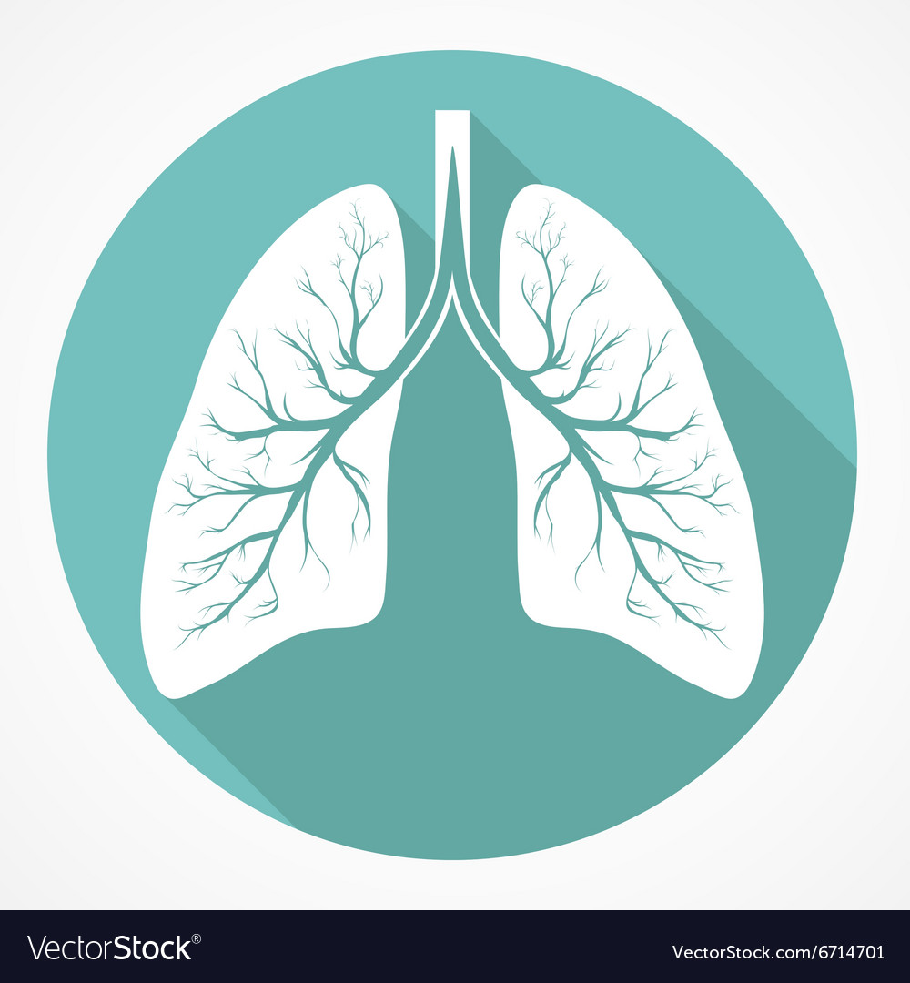 Human Lung flat icon Royalty Free Vector Image