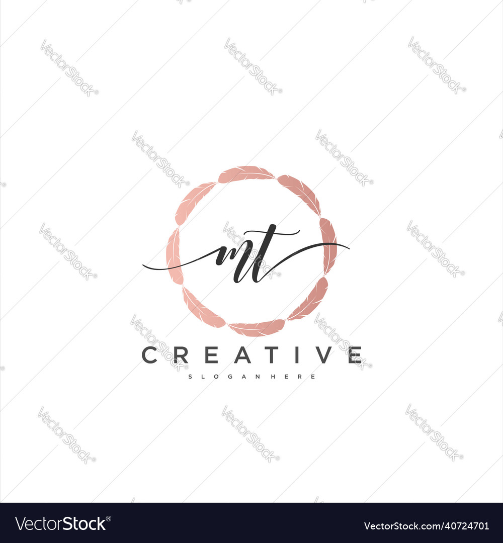 Mt initial handwriting minimalist geometric logo Vector Image