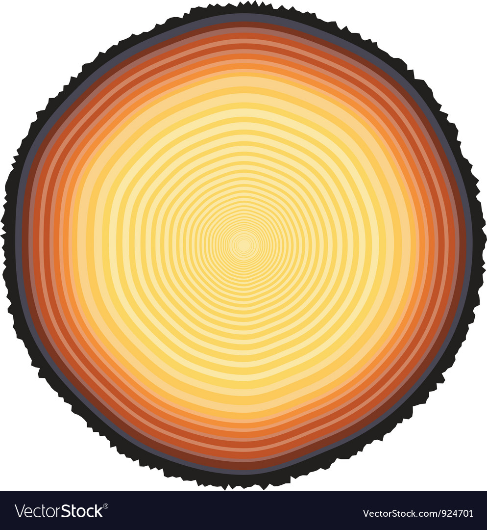 Tree rings Royalty Free Vector Image - VectorStock