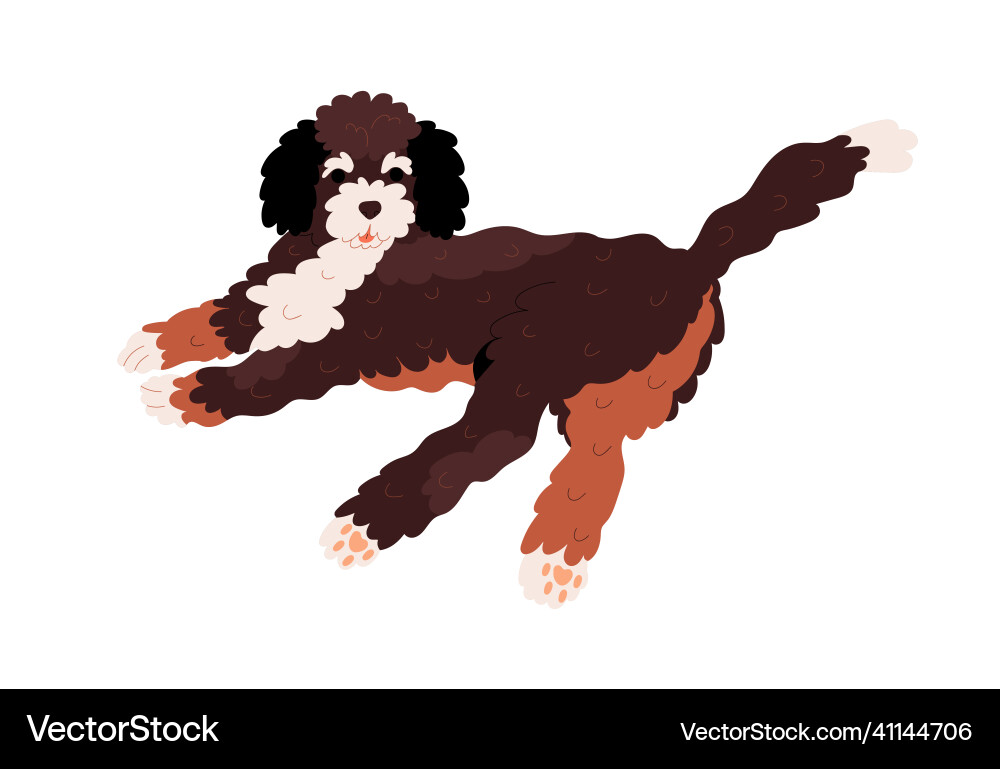 Cute labradoodle dog relaxing lying happy Vector Image