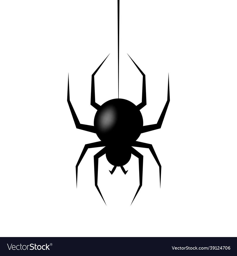 Realistic spider hanging on cobweb Royalty Free Vector Image