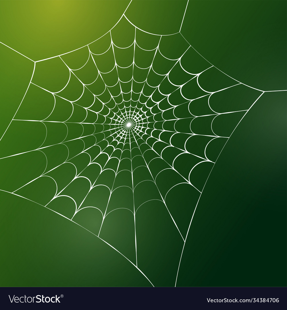 Spider Web Konzept Lizenzfreies Vektorbild - VectorStock