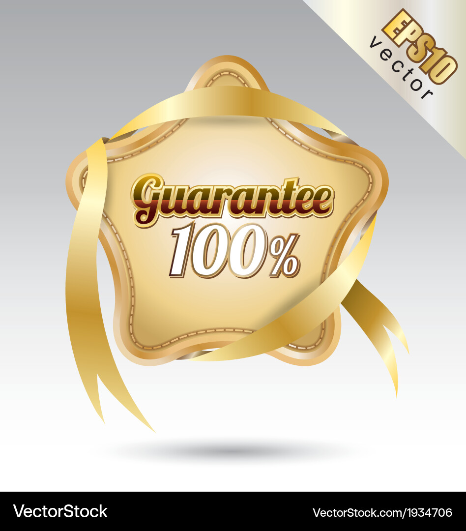 Star banner embroidery with ribbon Royalty Free Vector Image