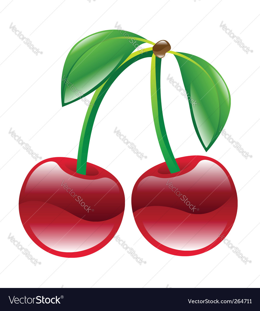 Cherries Royalty Free Vector Image - VectorStock