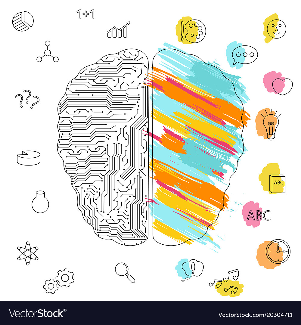 Left and right brain functions concept left and Vector Image