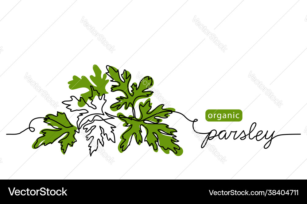 Parsley sprig branch Royalty Free Vector Image