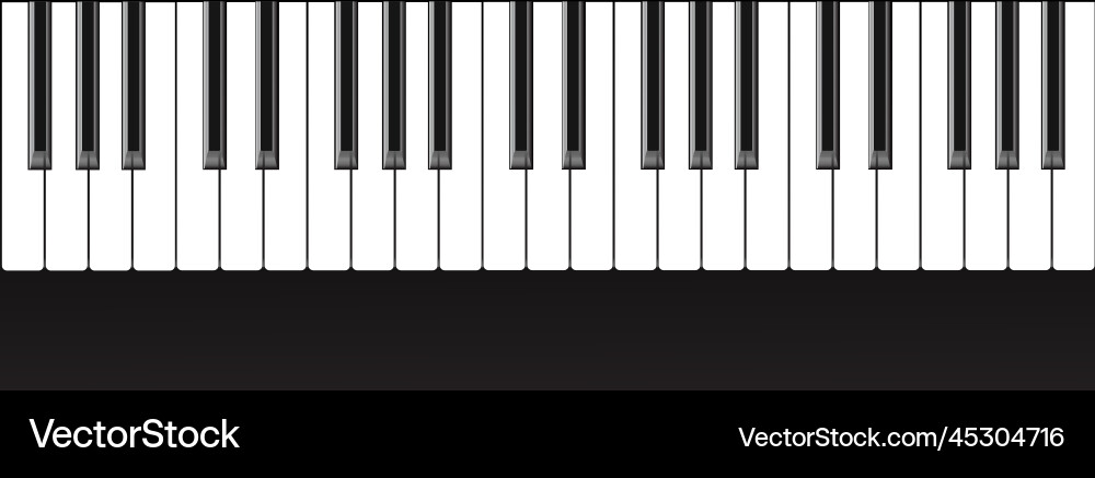 Realistic piano keys musical instrument keyboard Vector Image