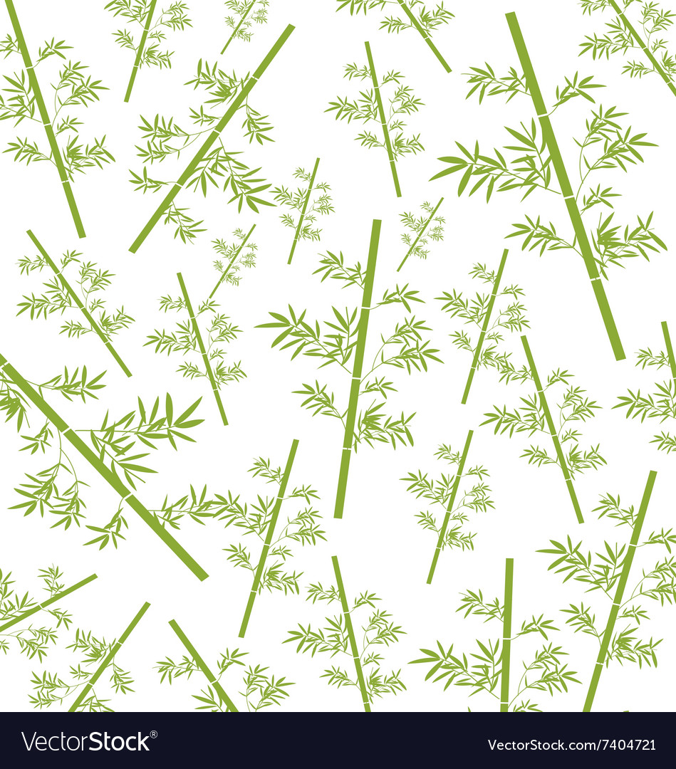 Bamboo Royalty Free Vector Image - VectorStock