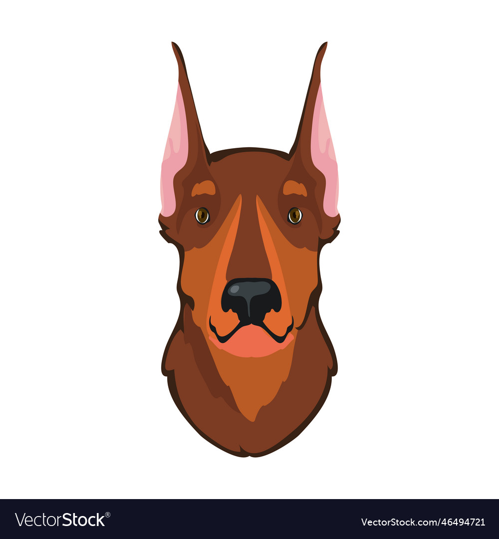 Brown doberman face Royalty Free Vector Image - VectorStock