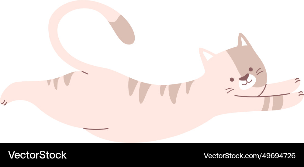 Cat doing stretching Royalty Free Vector Image