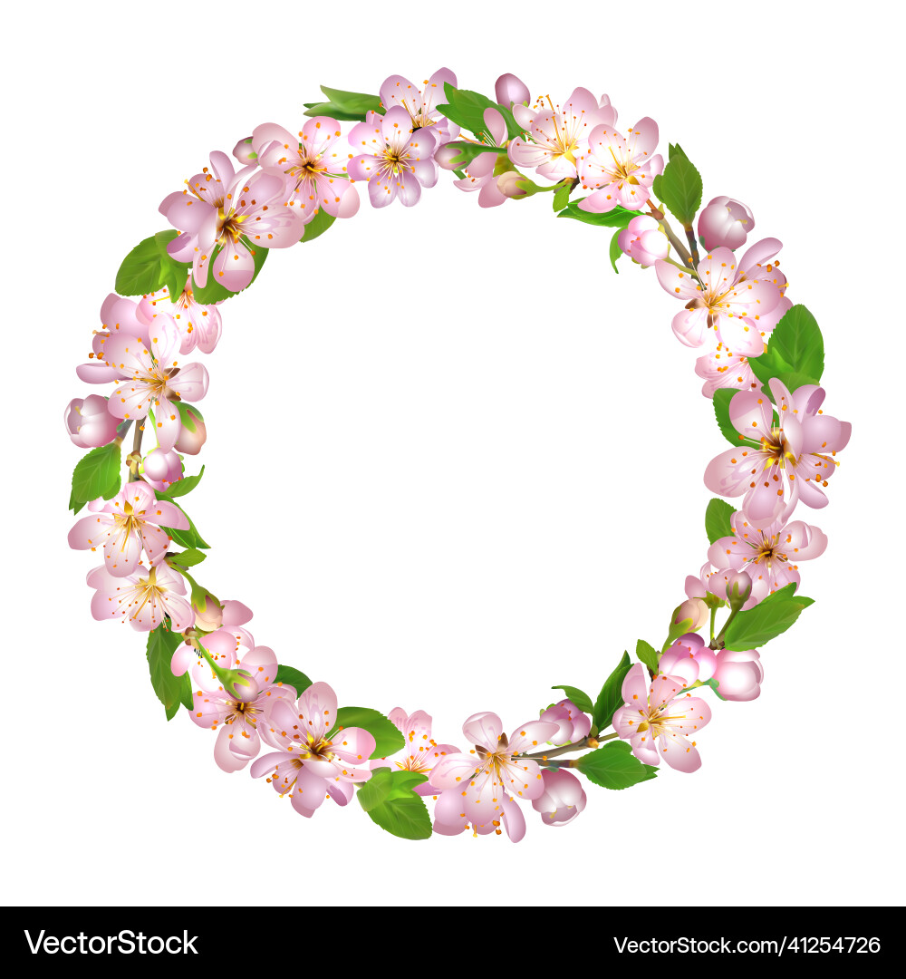 Cherry blossom wreath pink delicate sakura Vector Image