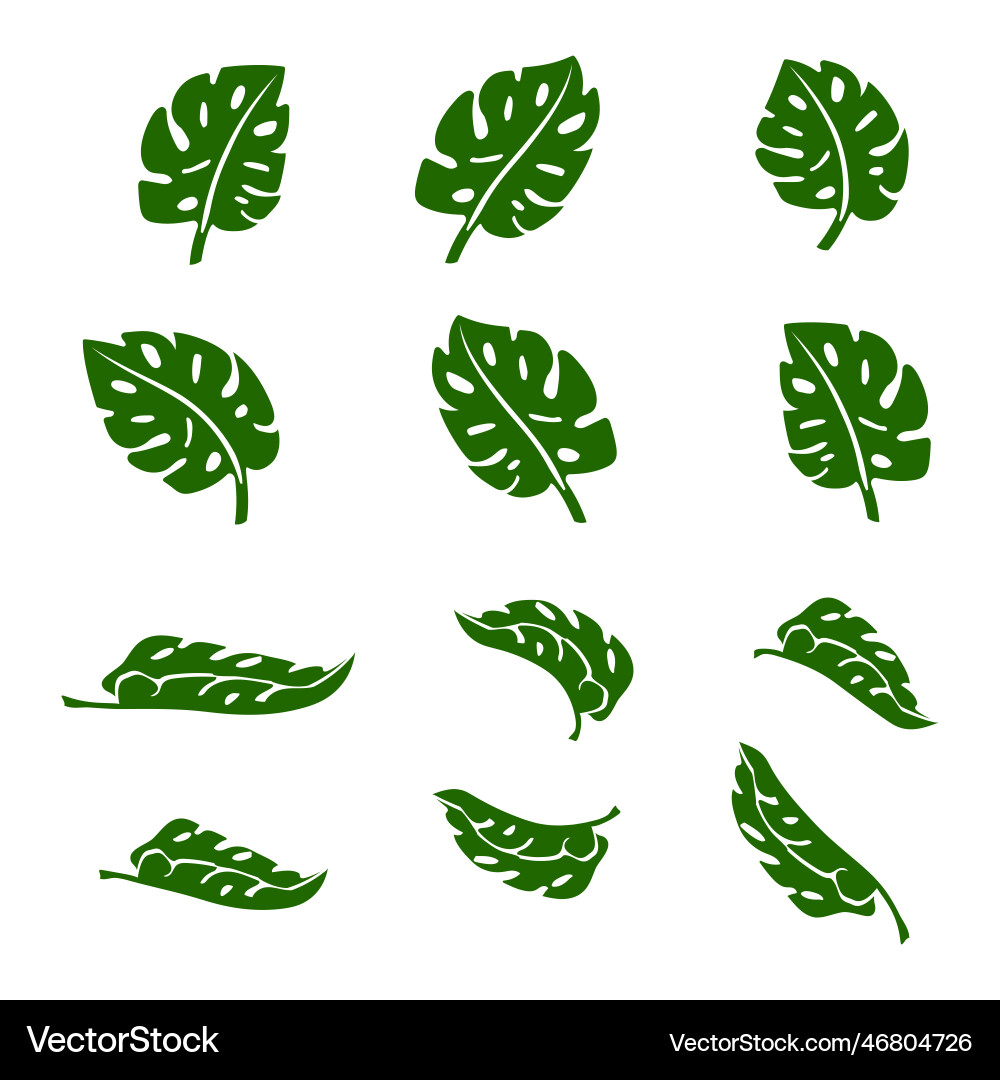 Green leaves summer vacation summer background Vector Image