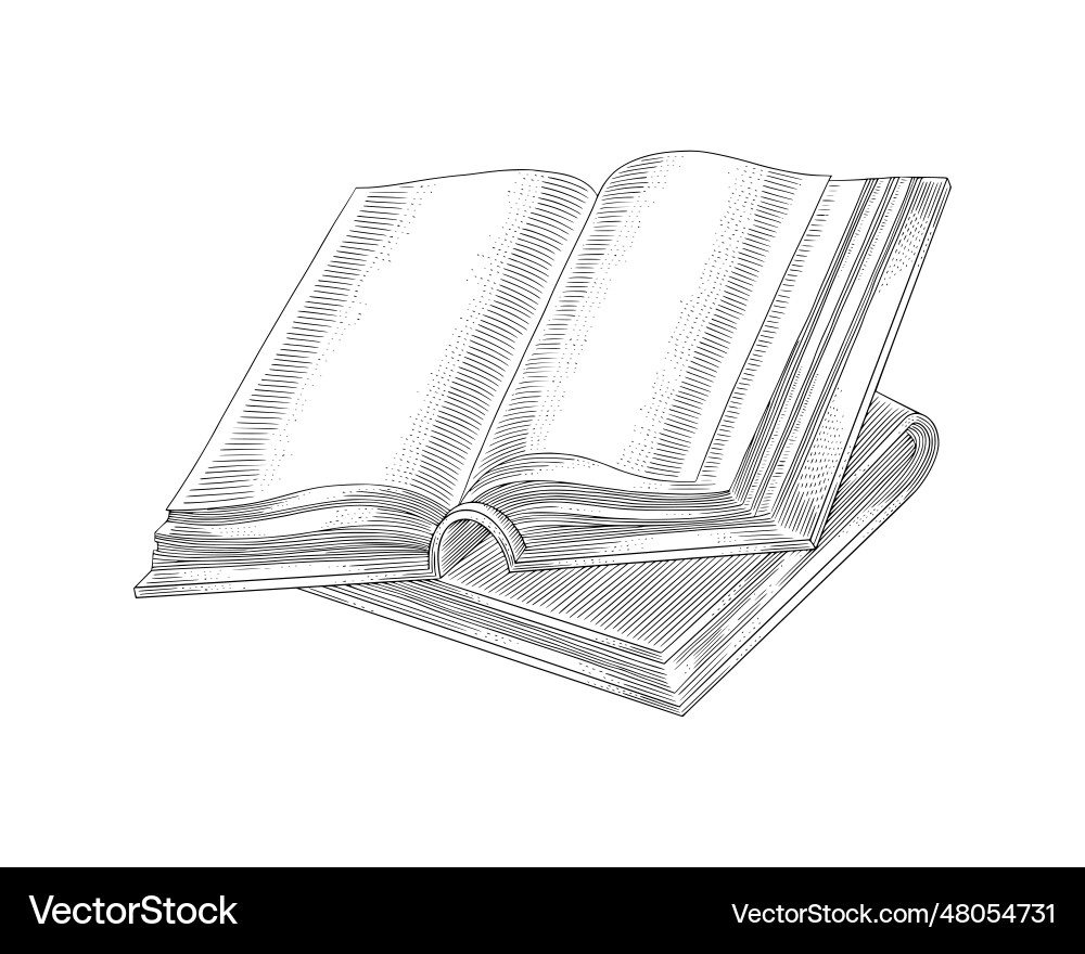 Open book for literature education journal and d Vector Image
