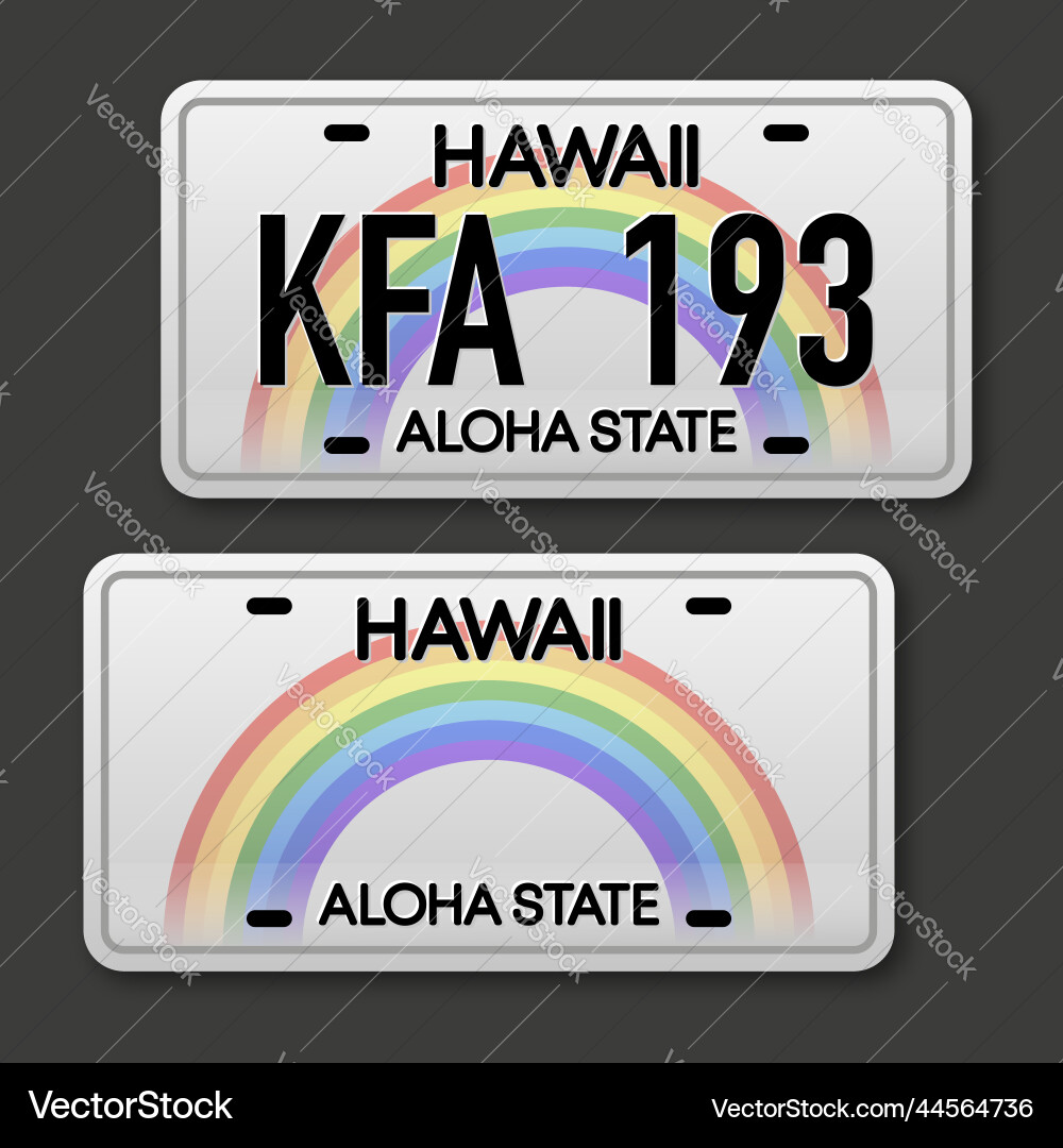 Retro car plate for banner design aloha state Vector Image