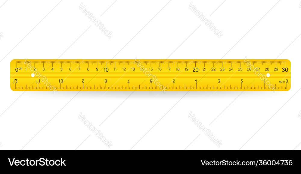 Ruler isolated icon pictograph on a white Vector Image