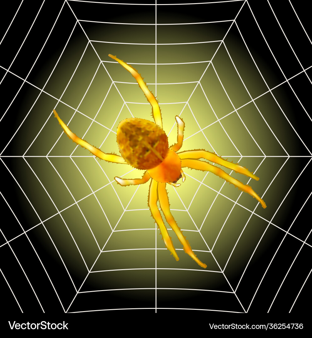 Scary spider sits on a web isolated black-yello Vector Image