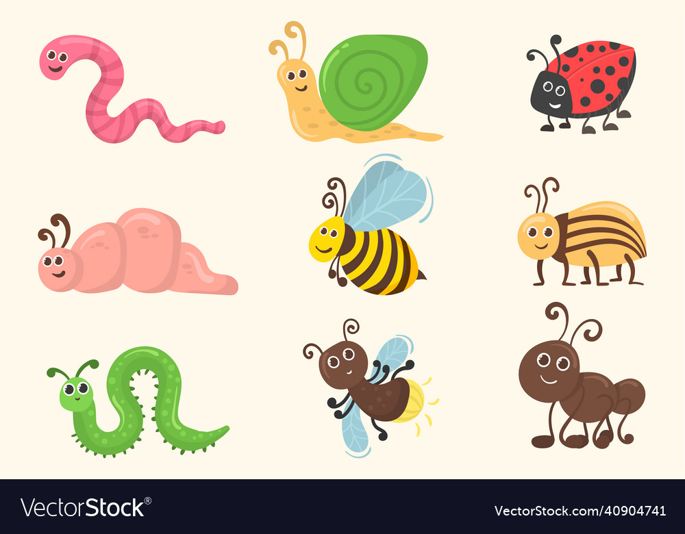 Cute insect characters bug worm beetle flat Vector Image