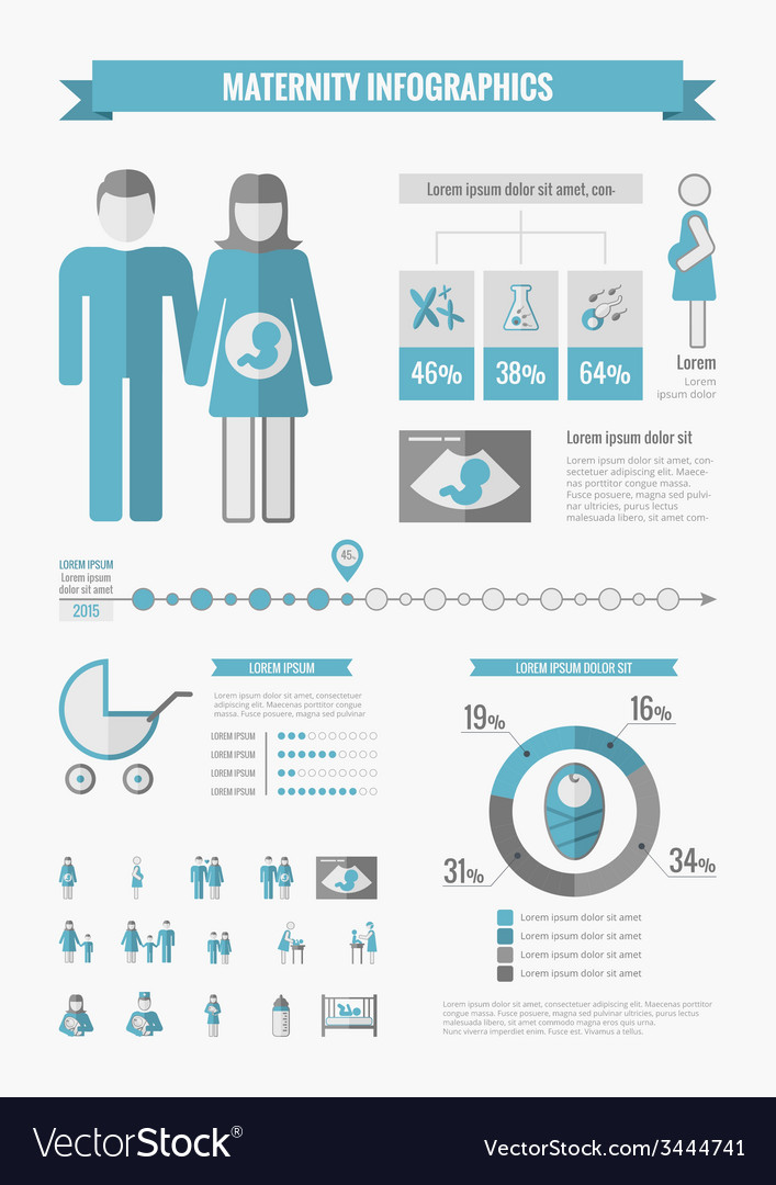 Maternity infographic elements Royalty Free Vector Image