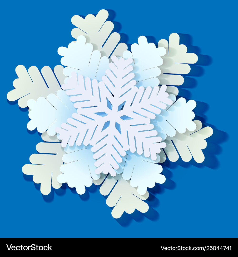 White and blue christmas paper snowflake Vector Image