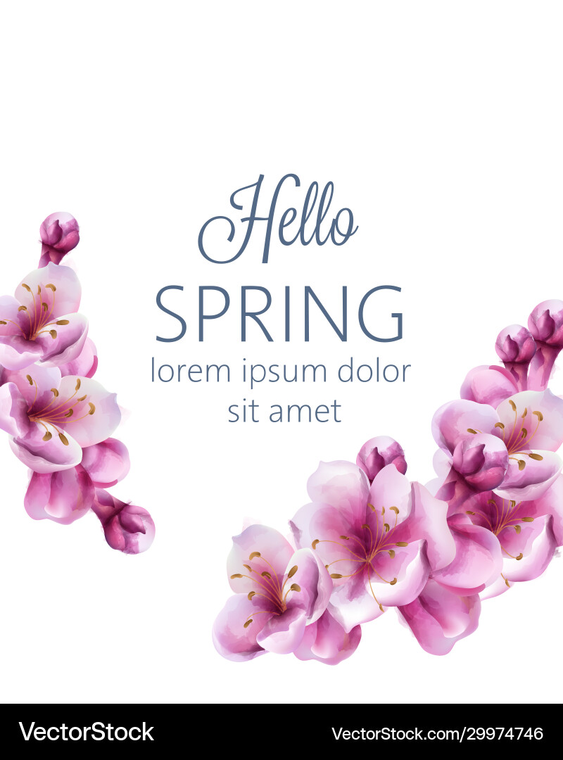 Hello spring cherry blossom flowers greeting card Vector Image