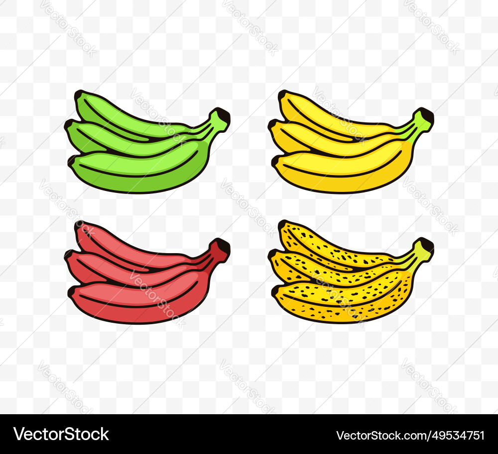 Bunch of bananas graphic design Royalty Free Vector Image