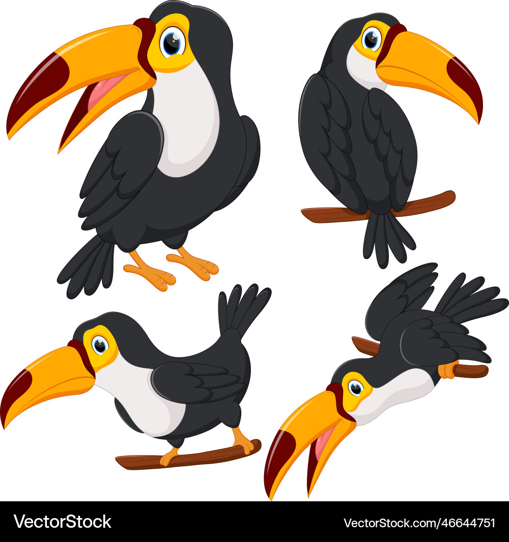 Set of lovely toucans from different angles Vector Image