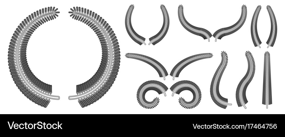 Abstract fern decoration design set Royalty Free Vector