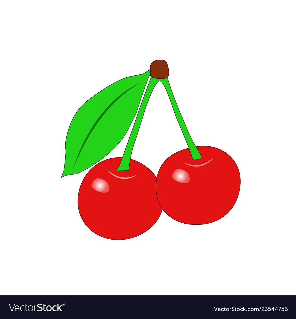 Cherry Royalty Free Vector Image - VectorStock