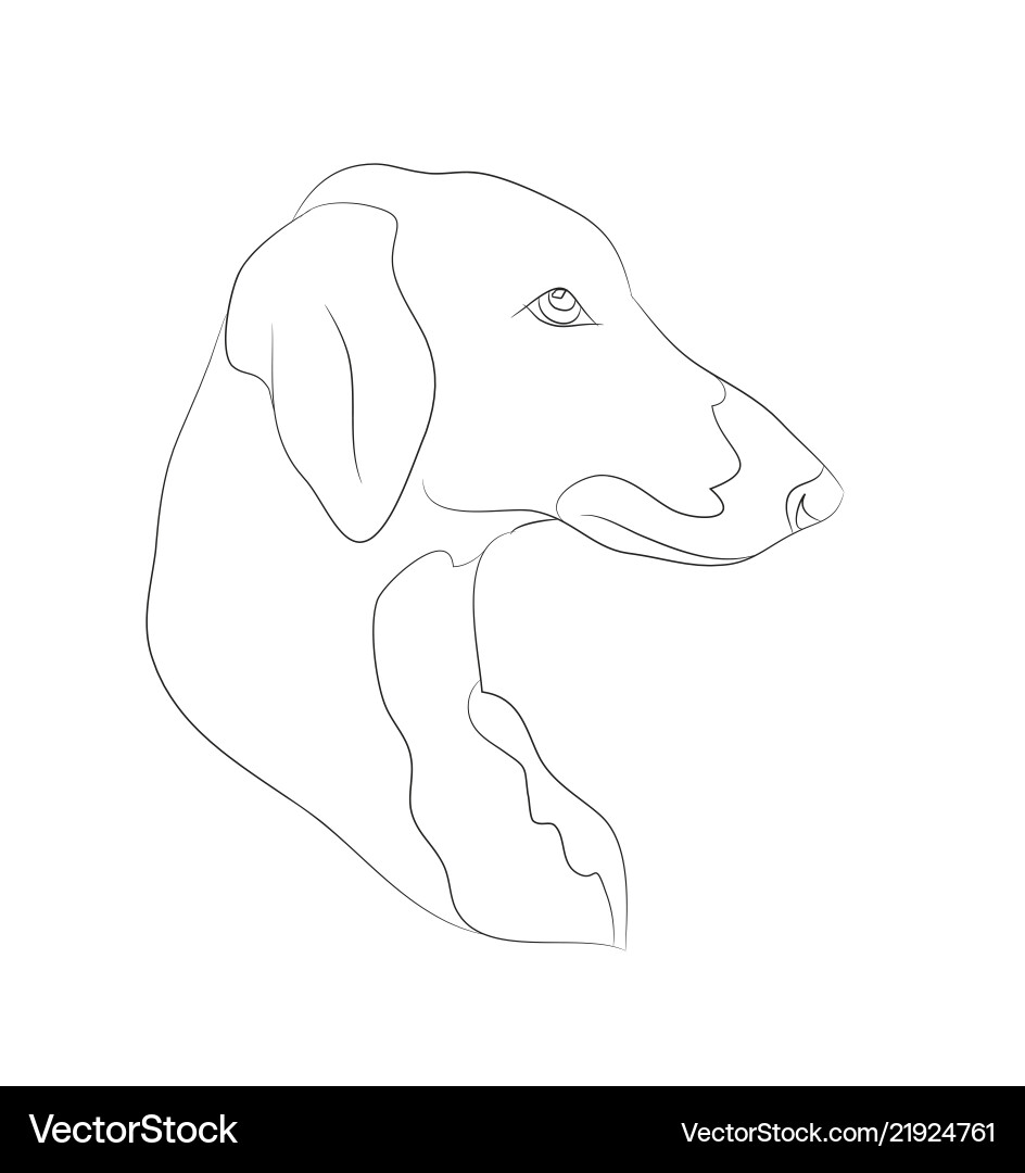 Dog portrait lines Royalty Free Vector Image - VectorStock