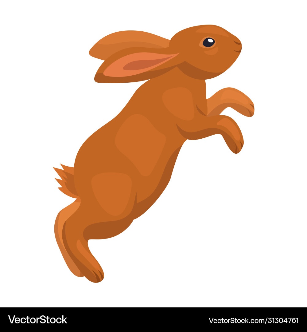 Rabbit iconcartoon icon isolated Royalty Free Vector Image